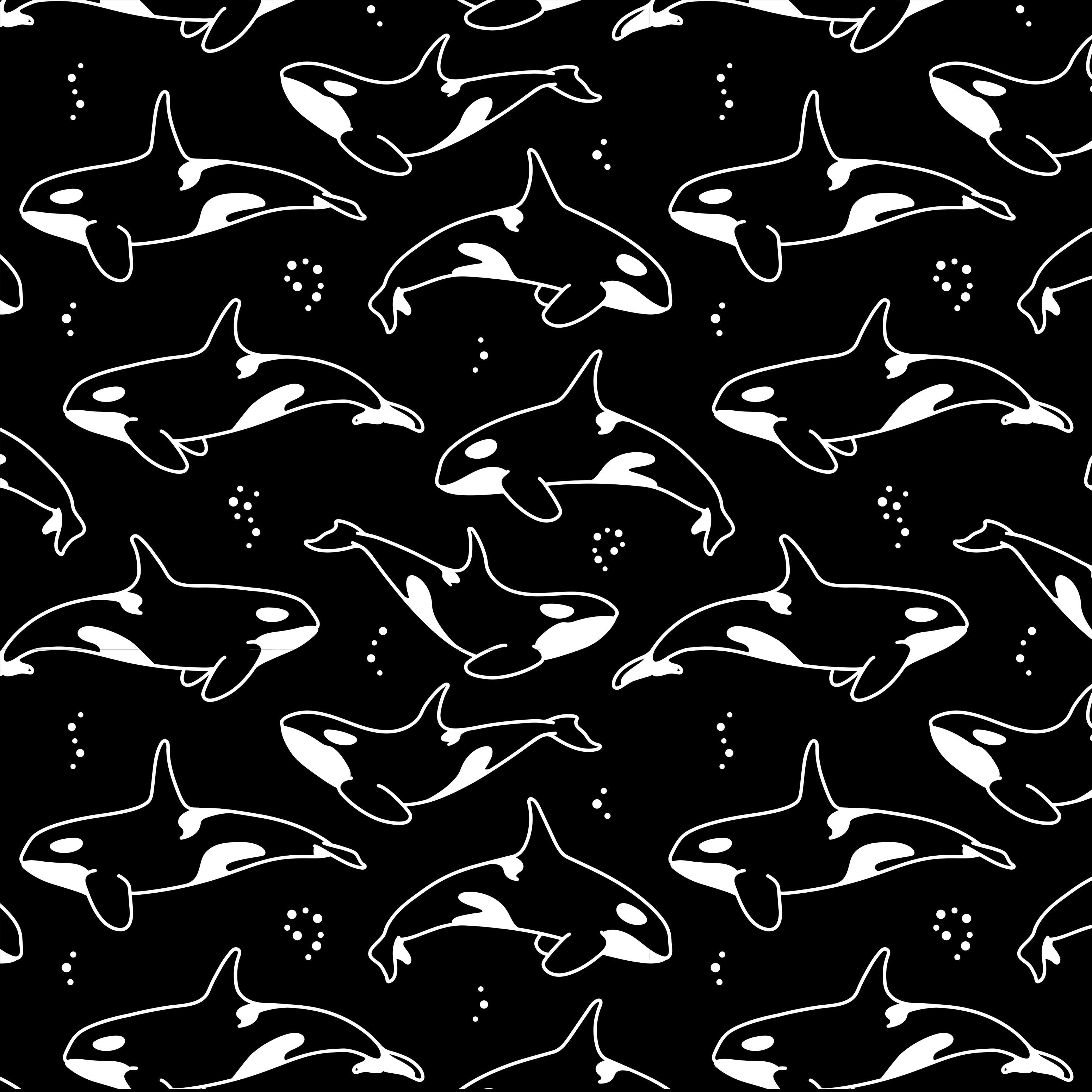 Black Friday Orca – All Everything Dolphin